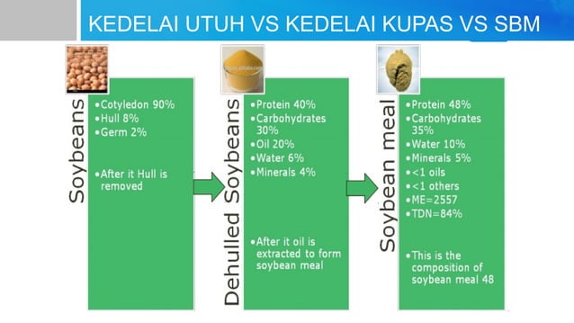 Kualitas bahan baku soybean meal/SBM.pptx