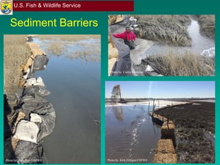 SBNWR Sediment Augmentation Lessons Learned | PPT
