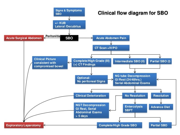 Management of Small Bowel Obstruction