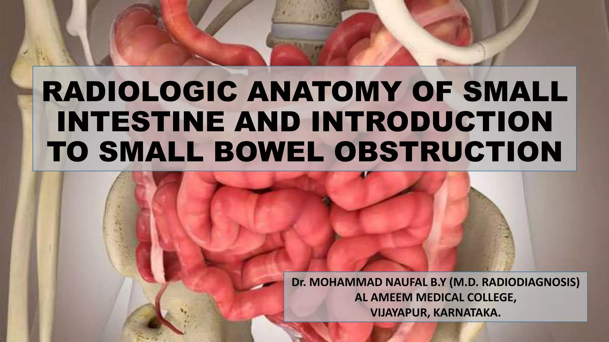 RADIOLOGIC ANATOMY OF SMALL INTESTINE AND INTRODUCTION TO SMALL BOWEL ...