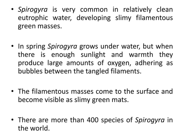 SBP- paper-1-unit-2 algae.pptx