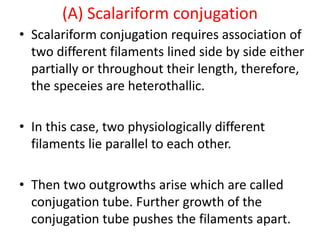 SBP- paper-1-unit-2 algae.pptx
