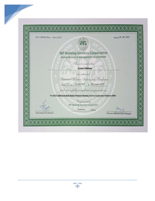 State Bank of Pakistan SBP BSC Peshawar Internship report 2020 | PDF