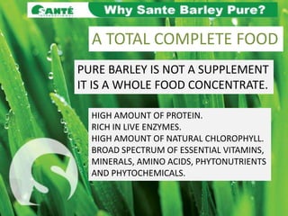 SANTE BARLEY PRESENTATION | PPTX