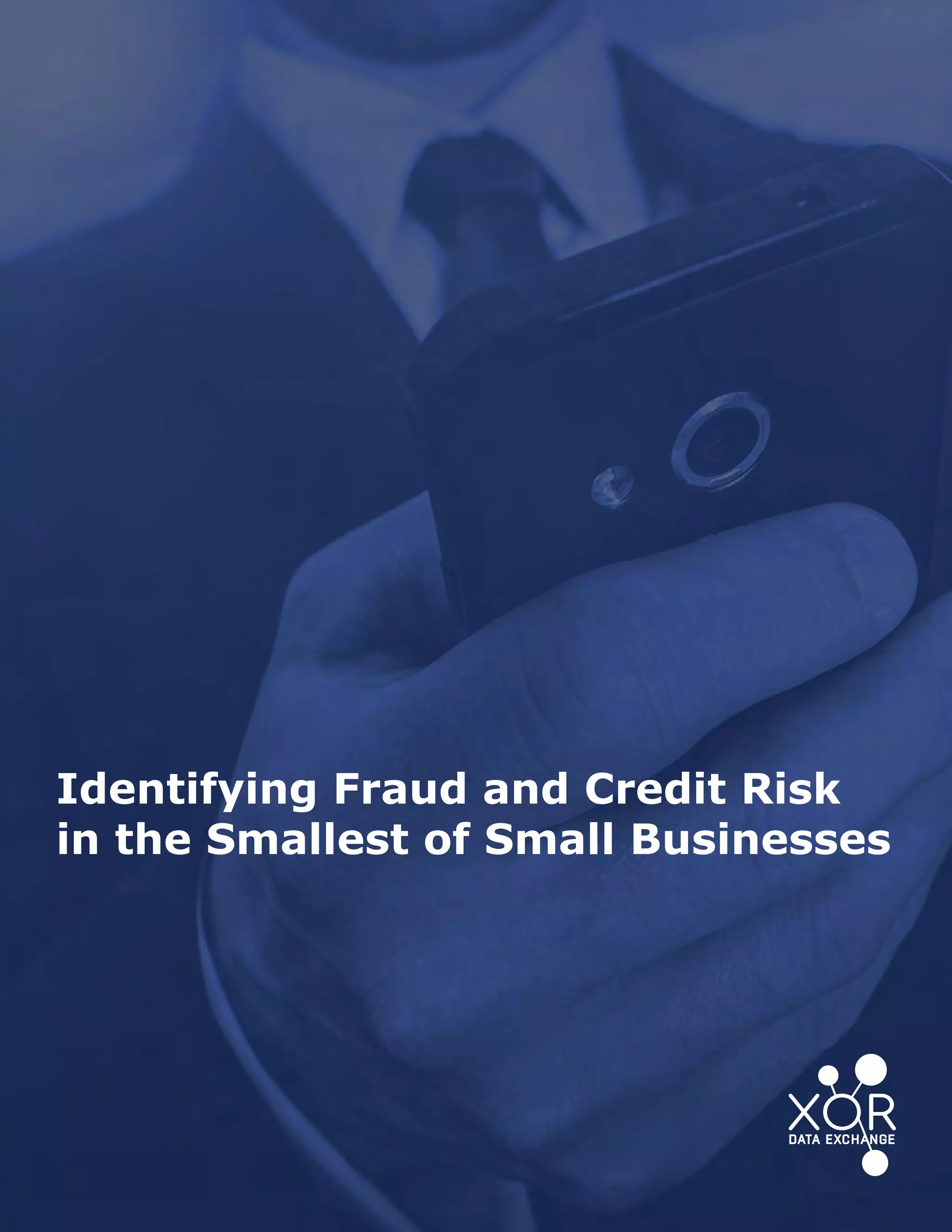 White Paper: Identifying Fraud and Credit Risk in the Smallest of Small ...