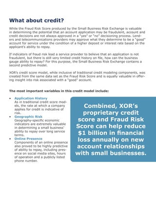 White Paper: Identifying Fraud and Credit Risk in the Smallest of Small ...