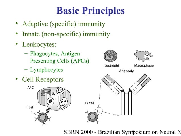 2000: Artificial Immune Systems - Theory and Applications | PPT