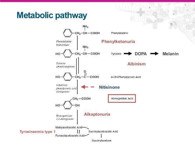 S brookman may eupati webinar final 5 nov