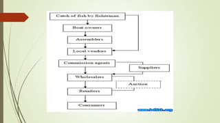 FISH MARKETING IN PAKISTAN | PPTX