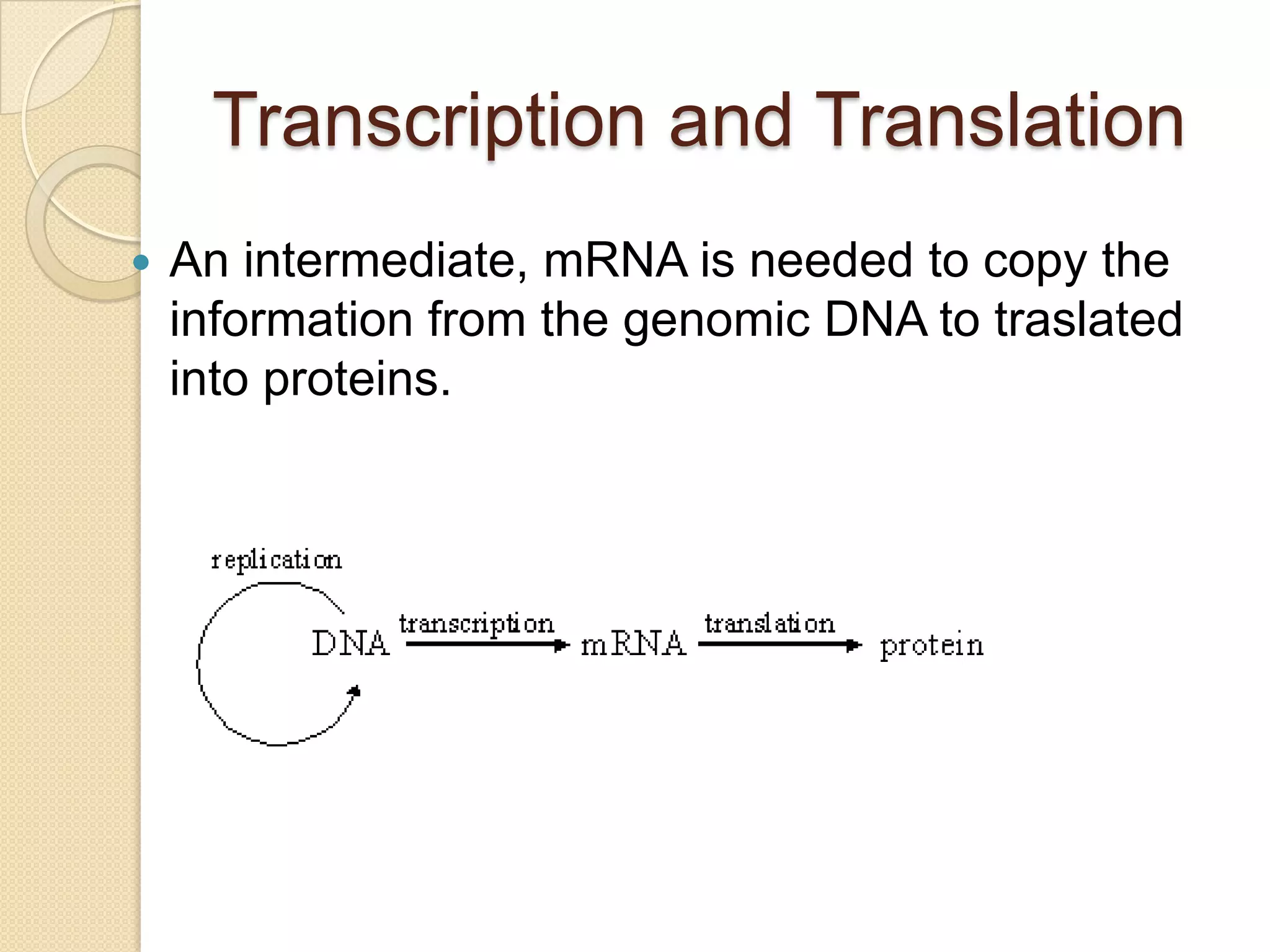 Human Cheek Cell DNA extraction | PPTX