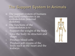 Sc..support system | PPT