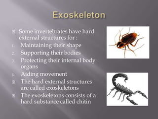 Sc..support system | PPT