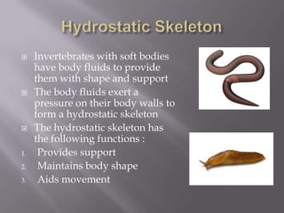 Sc..support system | PPT