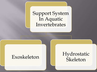 Sc..support system | PPT