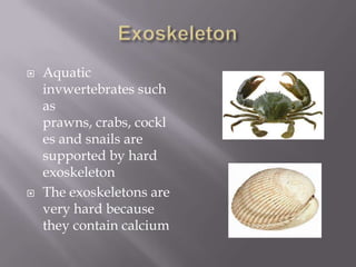 Sc..support system | PPT