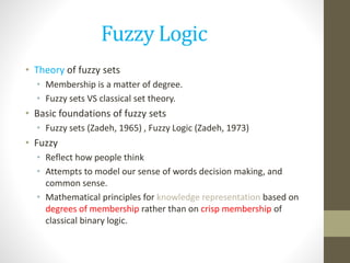 fuzzy | PPT