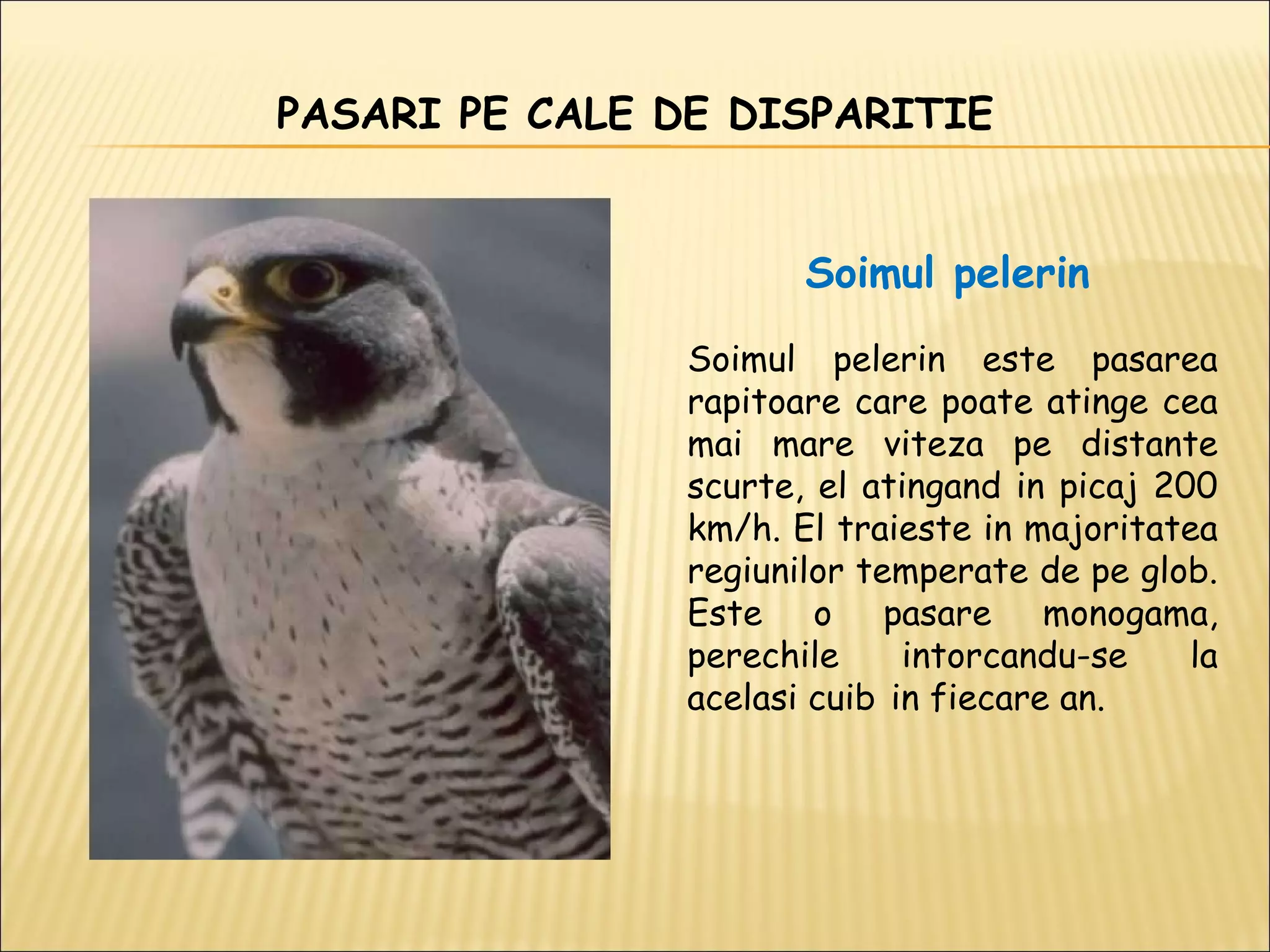 Pasari pe ale de disparitie | PPT
