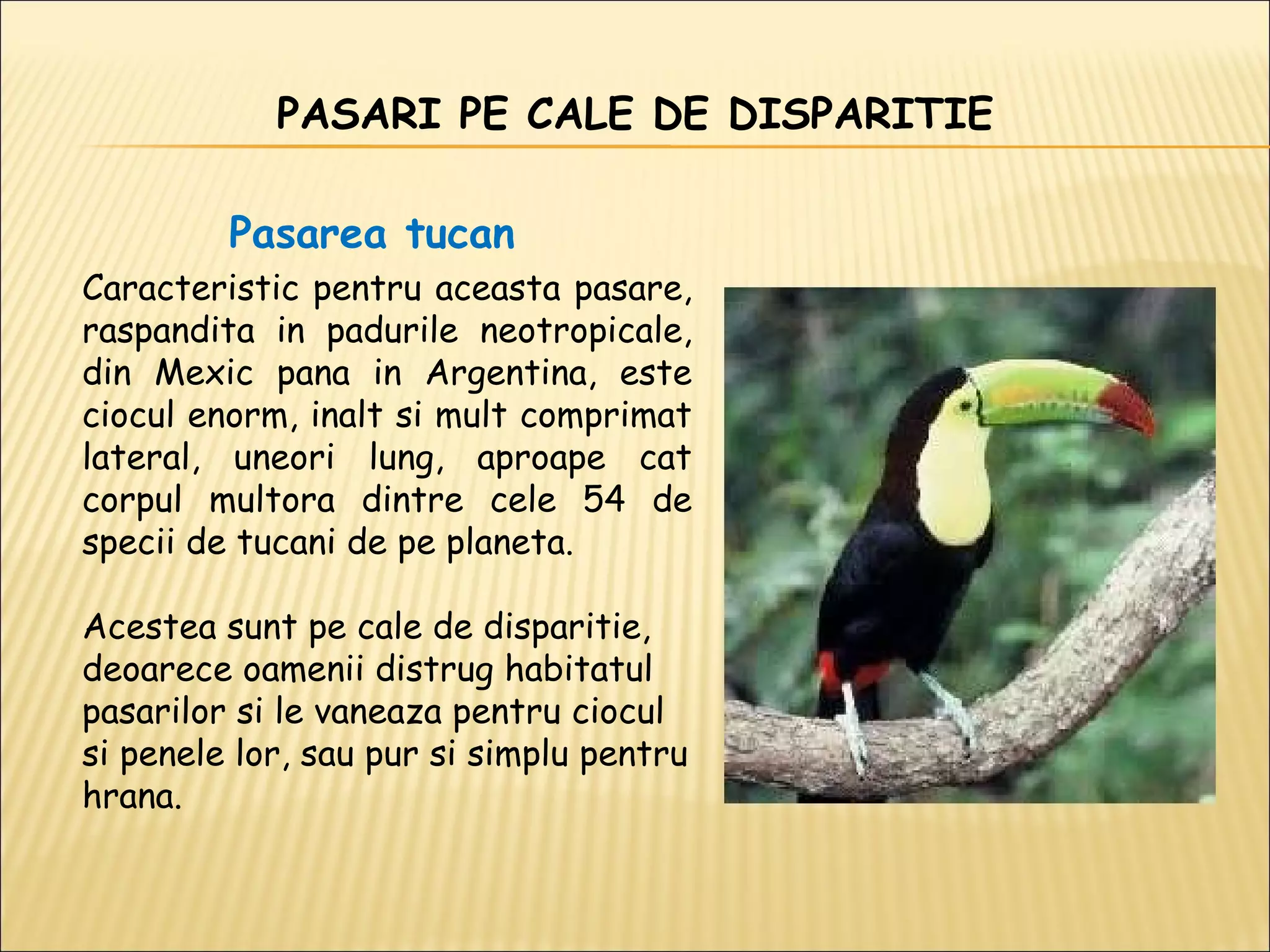 Pasari pe ale de disparitie | PPT