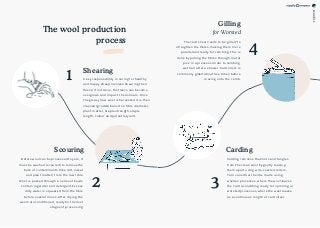 Sustainable Material Guide - Wool | PDF
