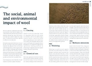 Sustainable Material Guide - Wool | PDF