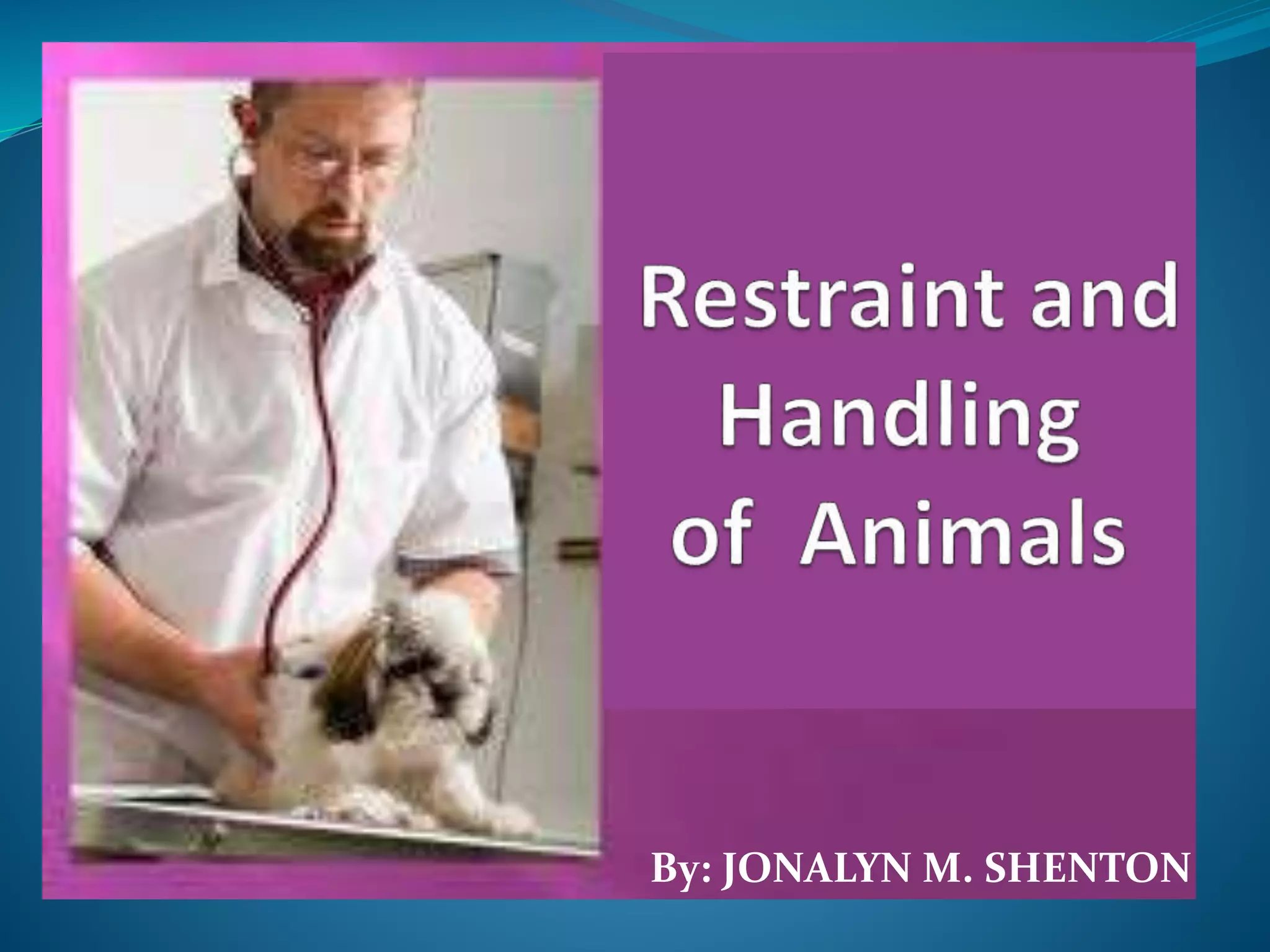 Animal Handling and Restraint | PPTX