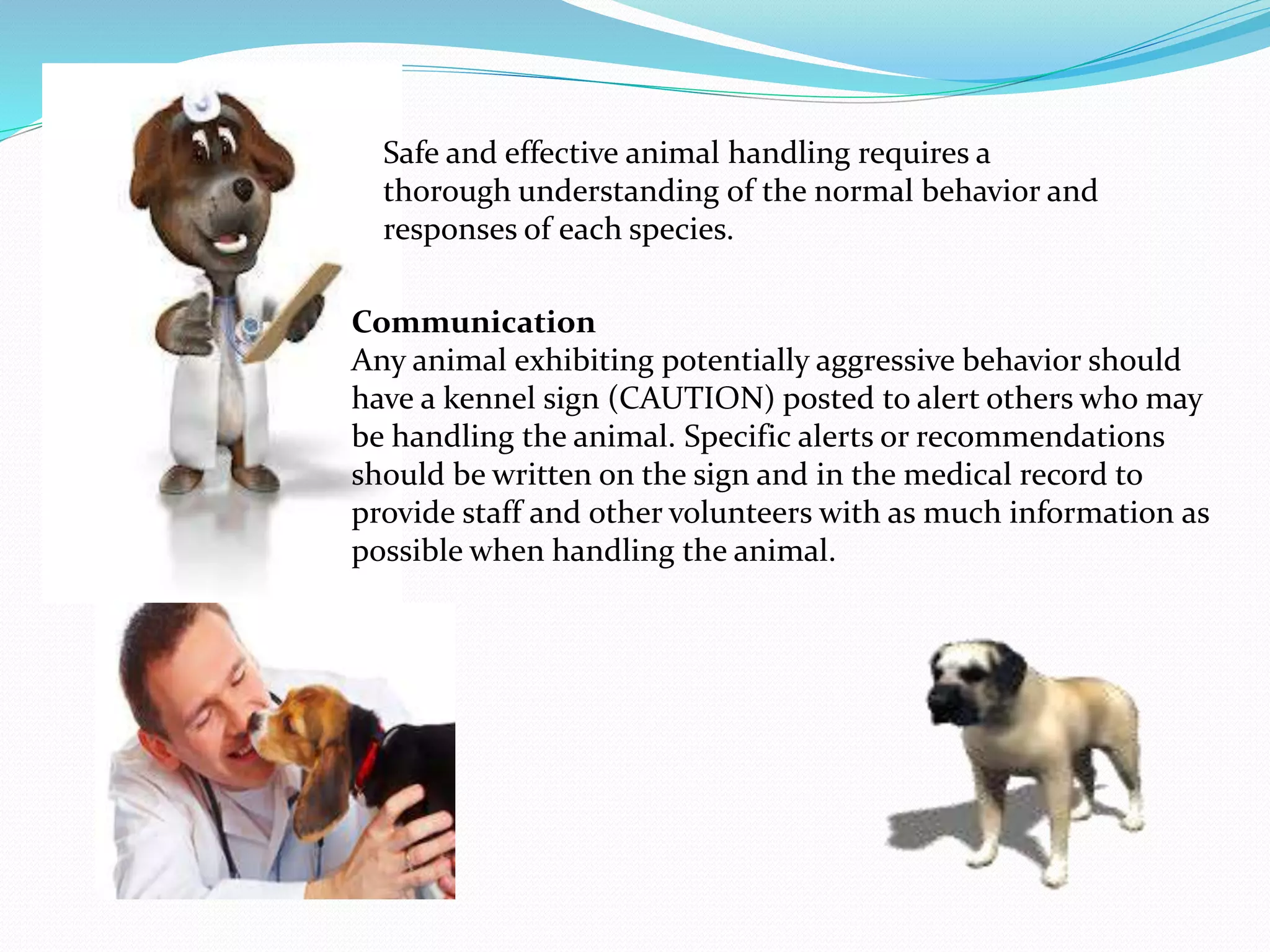 Animal Handling and Restraint | PPTX