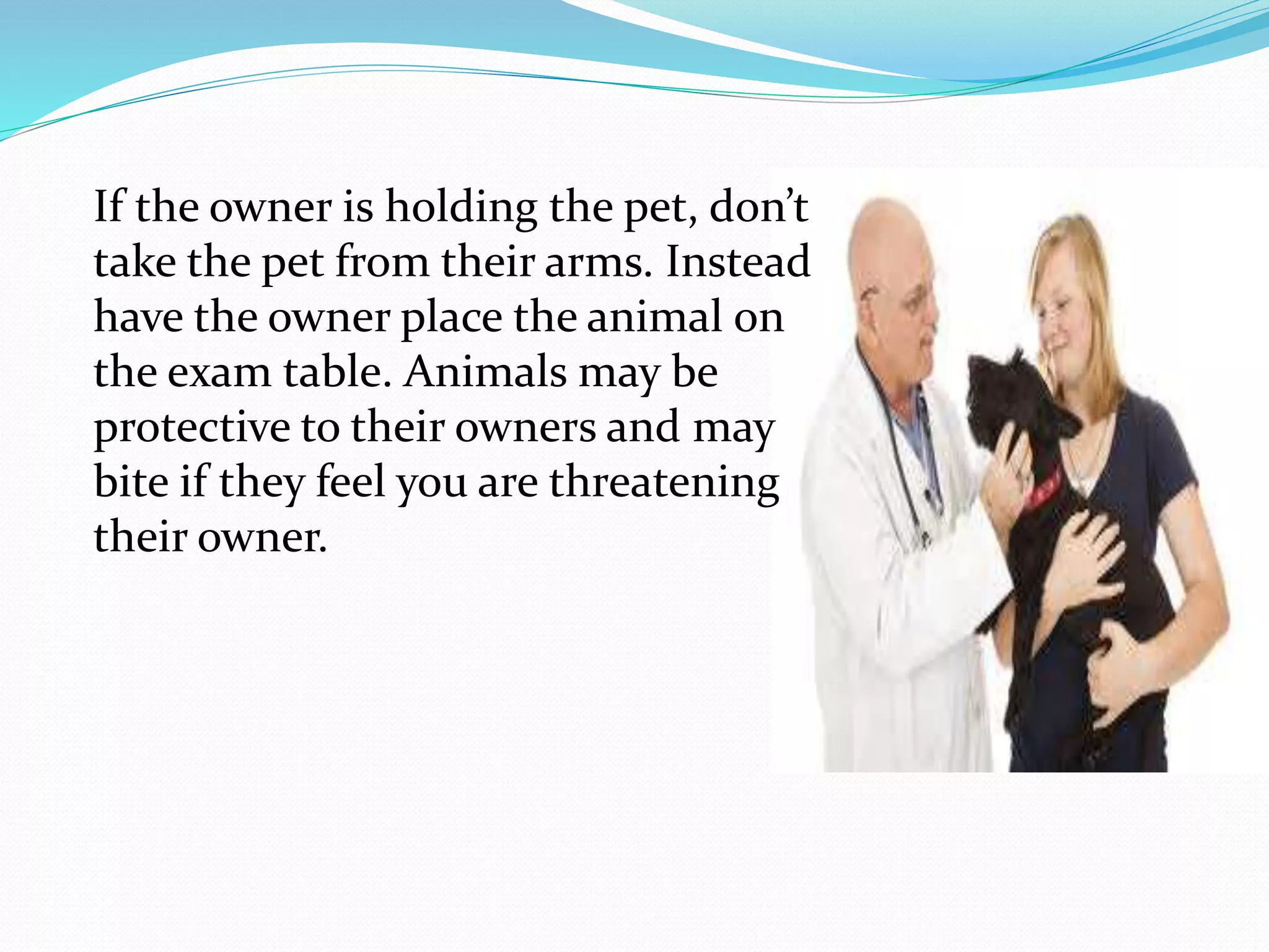 Animal Handling and Restraint | PPTX