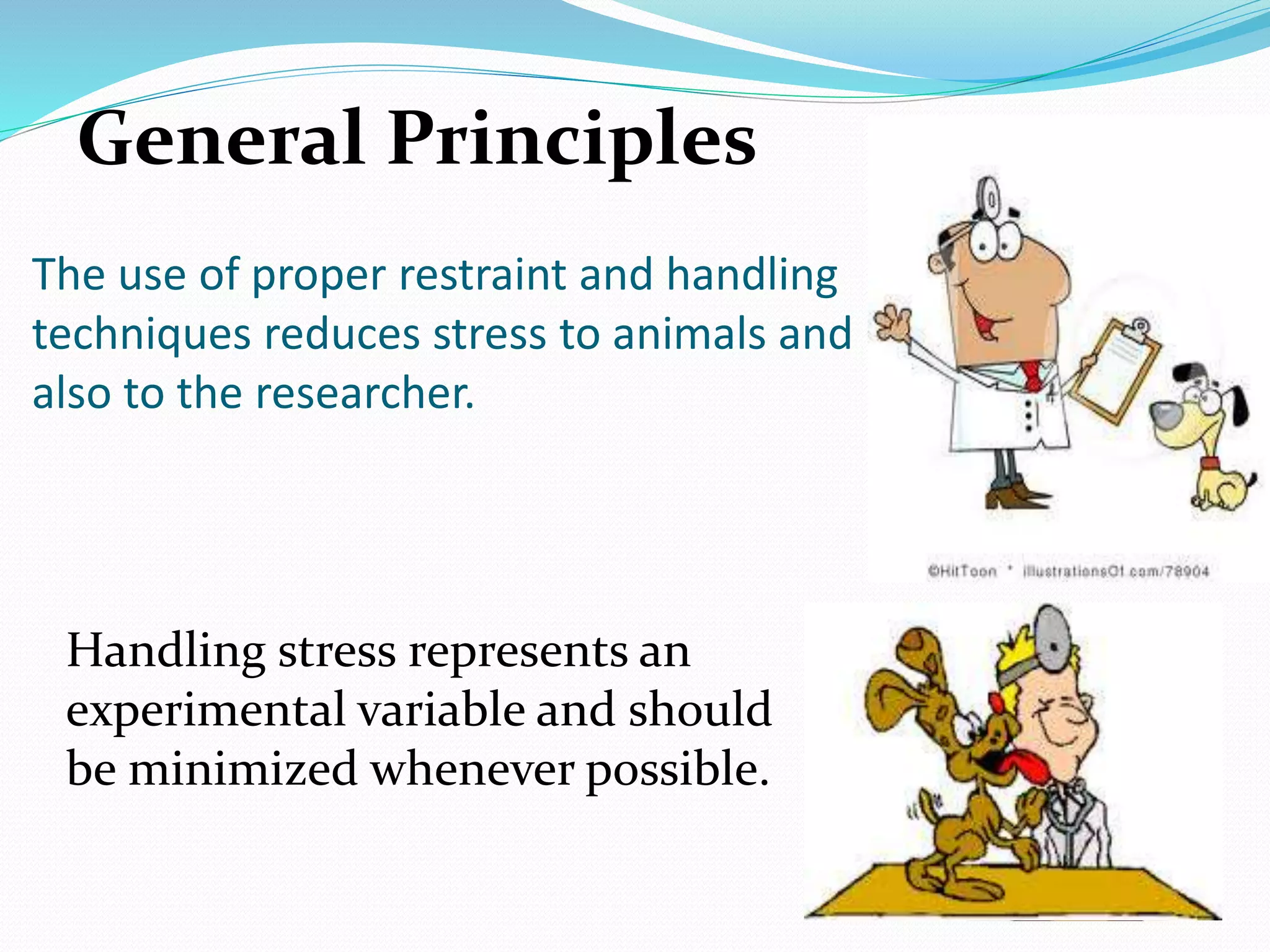 Animal Handling and Restraint | PPTX