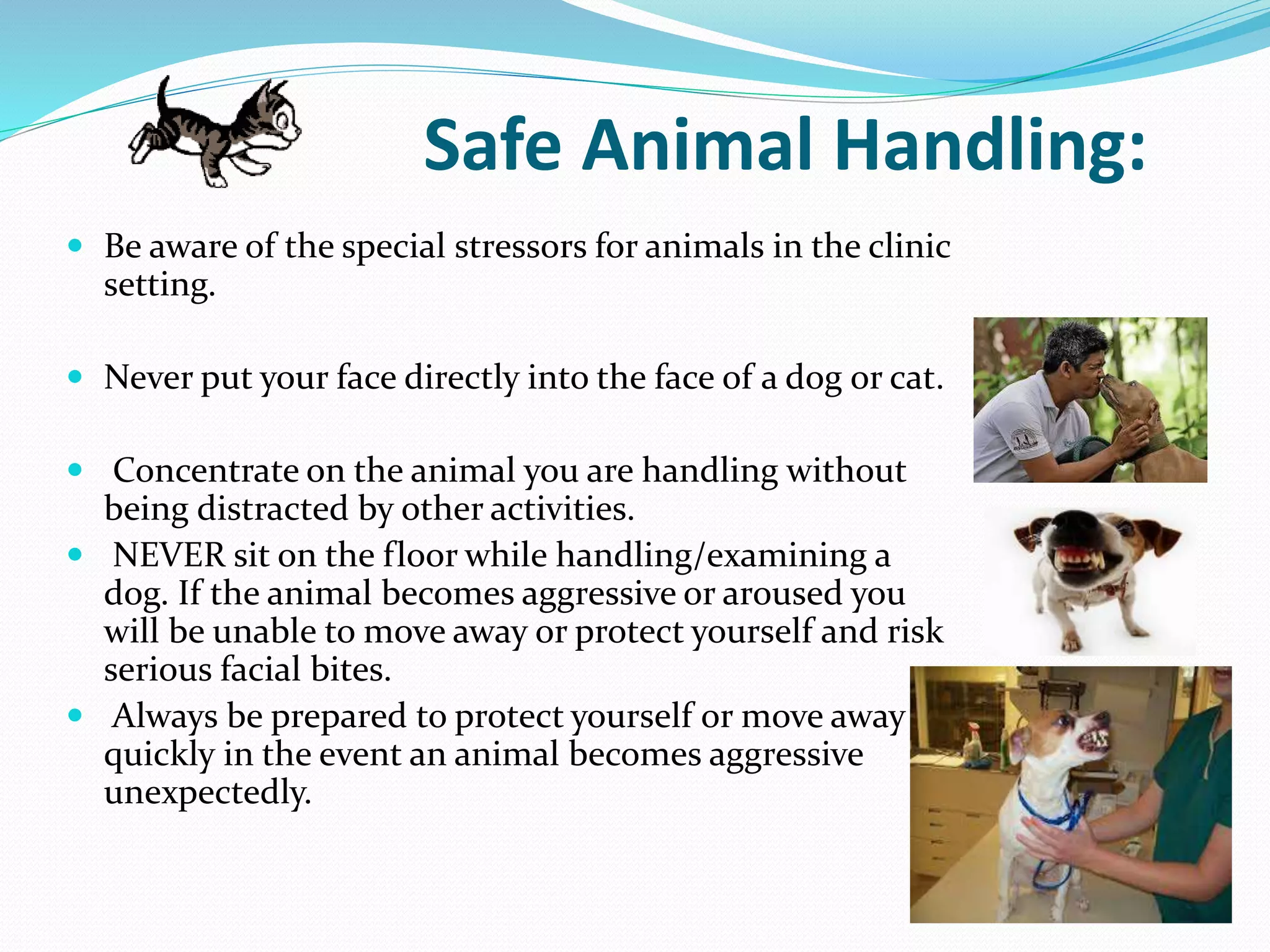 Animal Handling and Restraint | PPTX