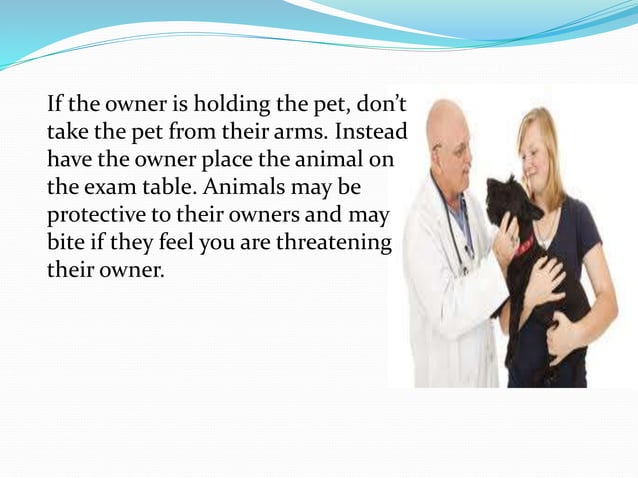 Animal Handling and Restraint | PPTX