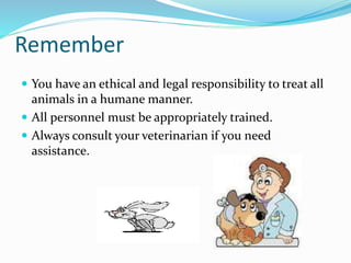 Animal Handling and Restraint | PPTX