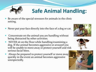 Animal Handling and Restraint | PPTX