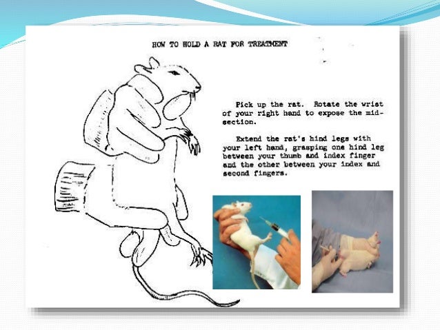 Animal Handling and Restraint