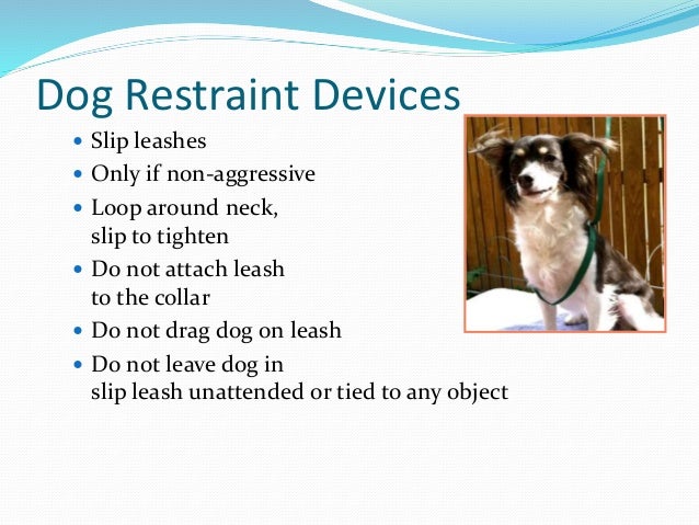 Animal Handling and Restraint