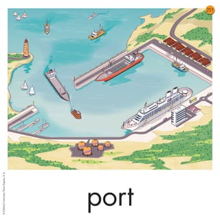 Sc2 u10 flashcards | PDF