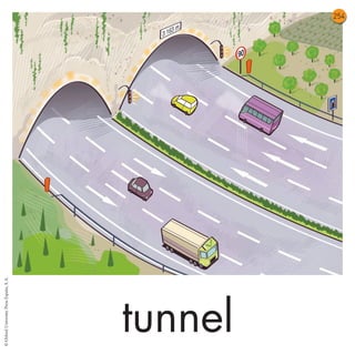 Sc2 u10 flashcards | PDF