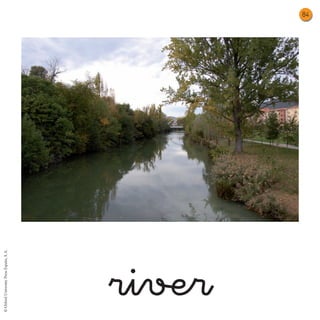 Sc2 u10 flashcards | PDF