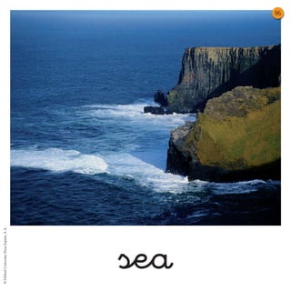 Sc2 u10 flashcards | PDF