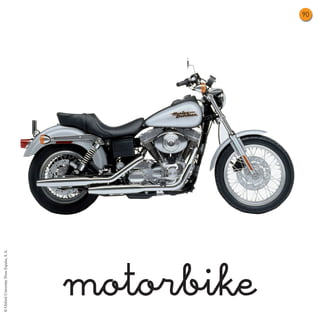 Sc2 u10 flashcards | PDF