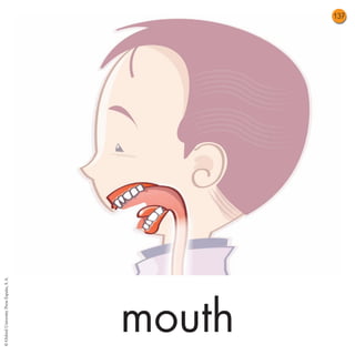 Sc2 u2 flashcards | PDF