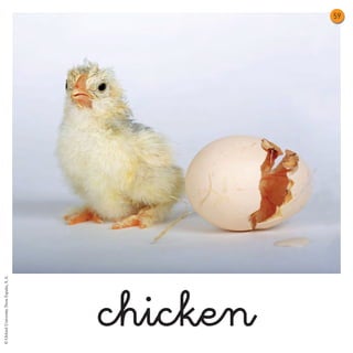 Sc2 u4 flashcards | PDF