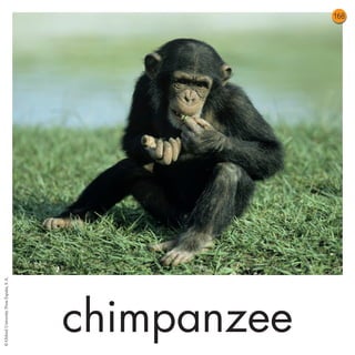 Sc2 u5 flashcards | PDF | Geography | Science