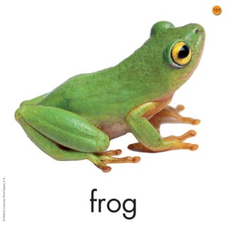 Sc2 u5 flashcards | PDF | Geography | Science