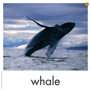 Sc2 u5 flashcards | PDF | Geography | Science