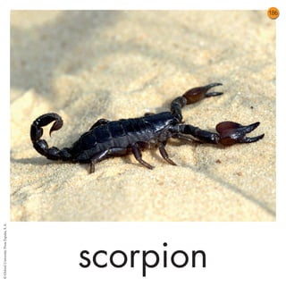 Sc2 u5 flashcards | PDF | Geography | Science