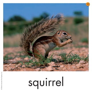 Sc2 u5 flashcards | PDF | Geography | Science