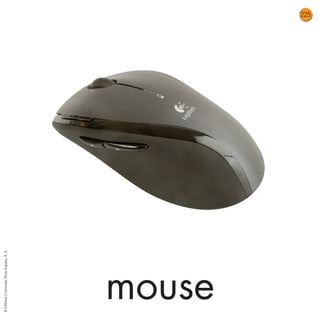 Sc2 u8 flashcards | PDF