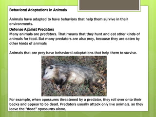 Sc3 8 adaptations ppt | PPTX | Dogs | Pets