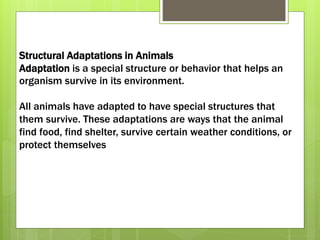 Sc3 8 adaptations ppt | PPTX | Dogs | Pets