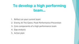 Developing a High Performing Team | PDF